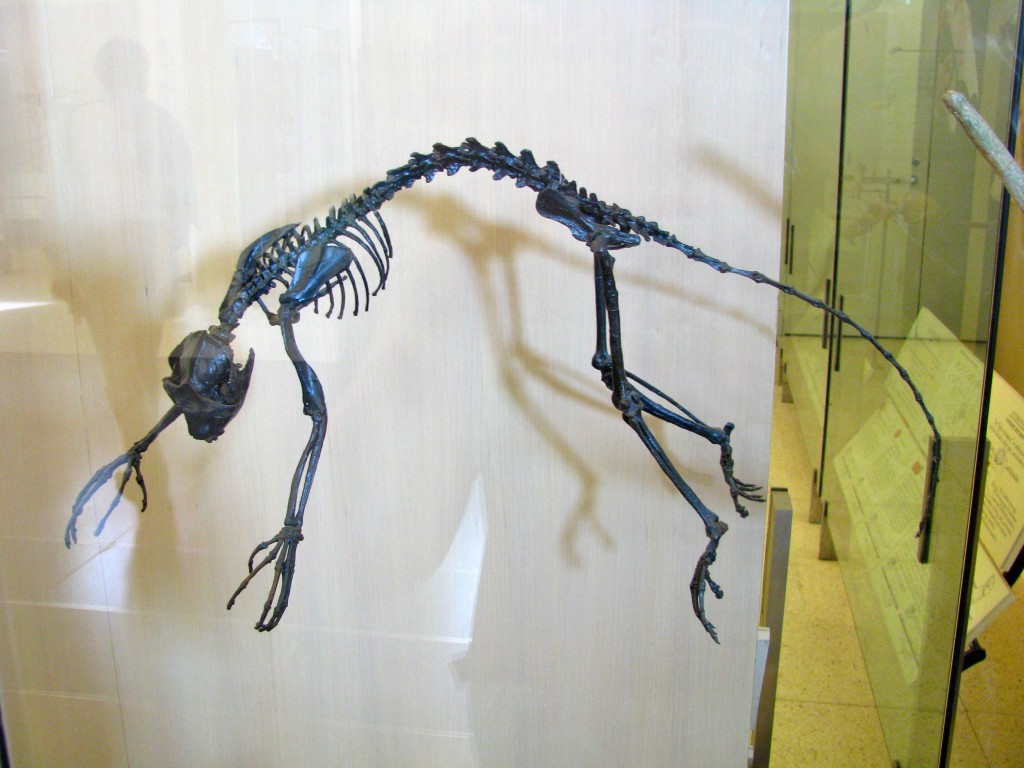 Making Models, part 2 – KeithCChan.com