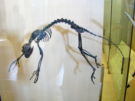 Making Models, part 2 – KeithCChan.com